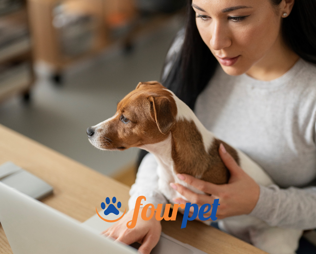 Como registrar a marca de seu Pet Shop no INPI? – Blog da Fourpet – Dicas para Pet Shop e Banho ...